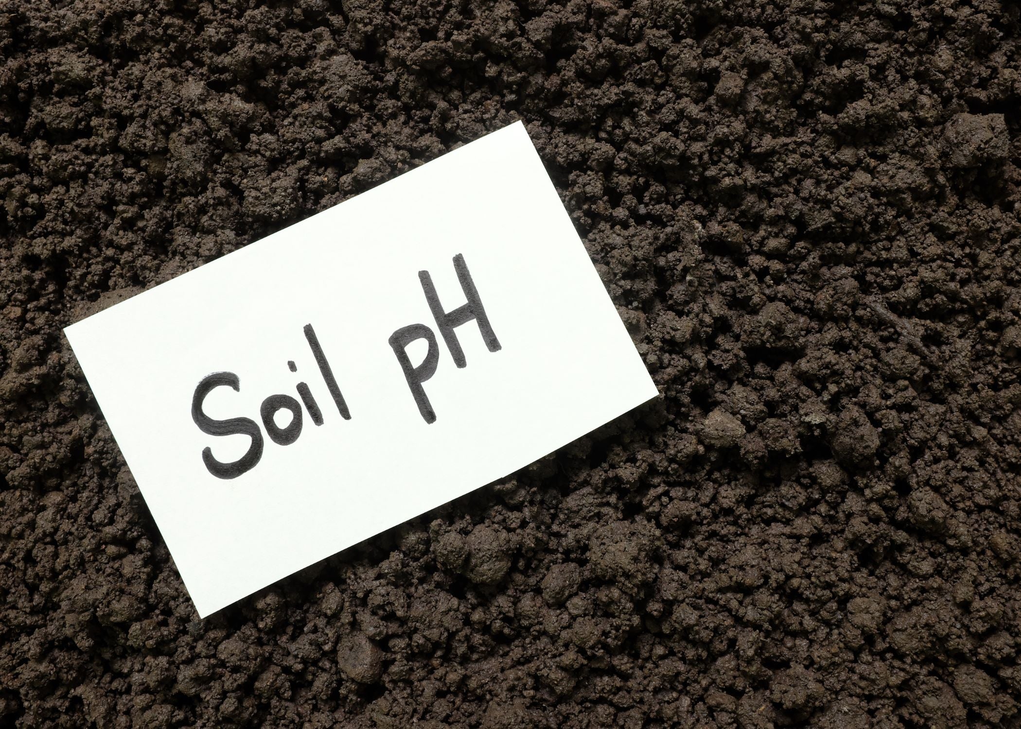 soil-ph-neutralizer-9110395.jpg?v=1758882611