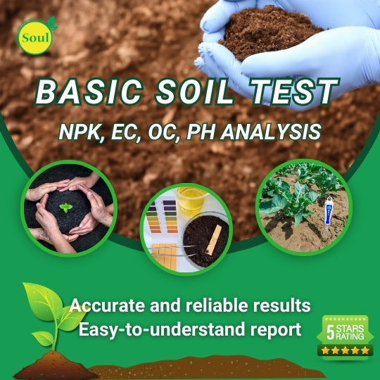 Basic Soil Test - NPK, OC, EC, pH Analysis – SOUL SOCIETY FOR ORGANIC ...